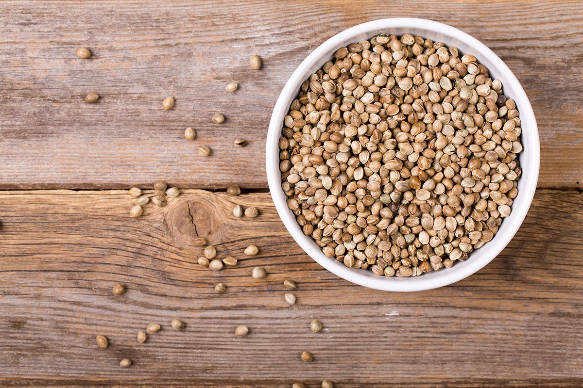 Hemp Seeds: What Are They And What Are Their Benefits?