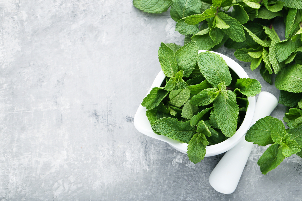 What Does Menthol Do For Pain?