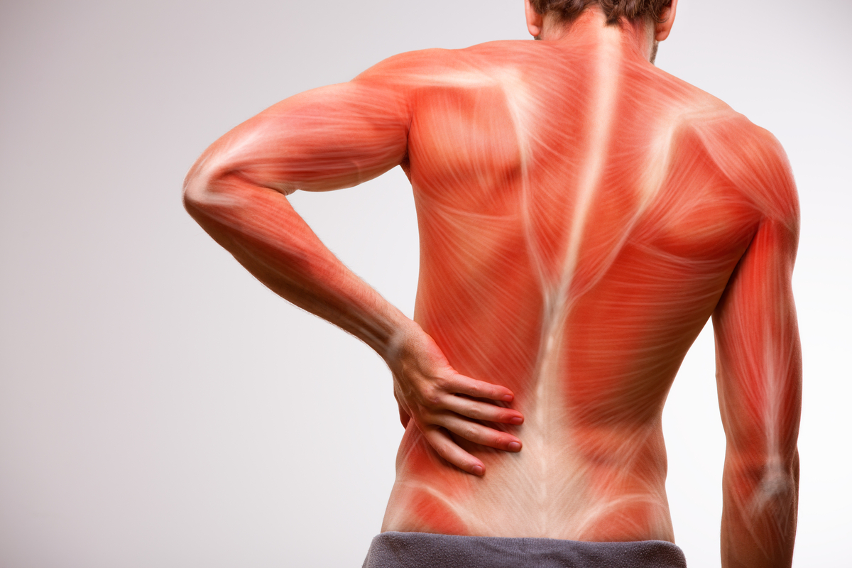 Ultimate Guide to Relieve Sore Muscle Pains